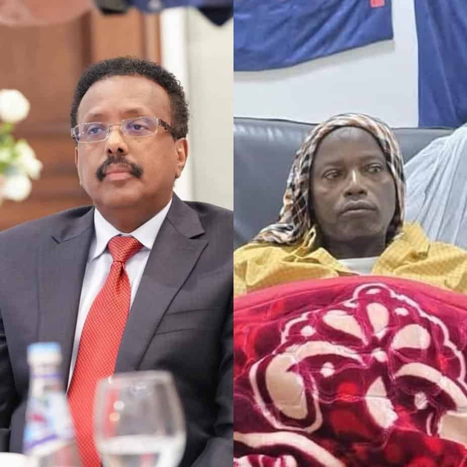 Farmaajo oo dalbaday in baaritaan lagu sameeyo geerida Gen Sheegow ...
